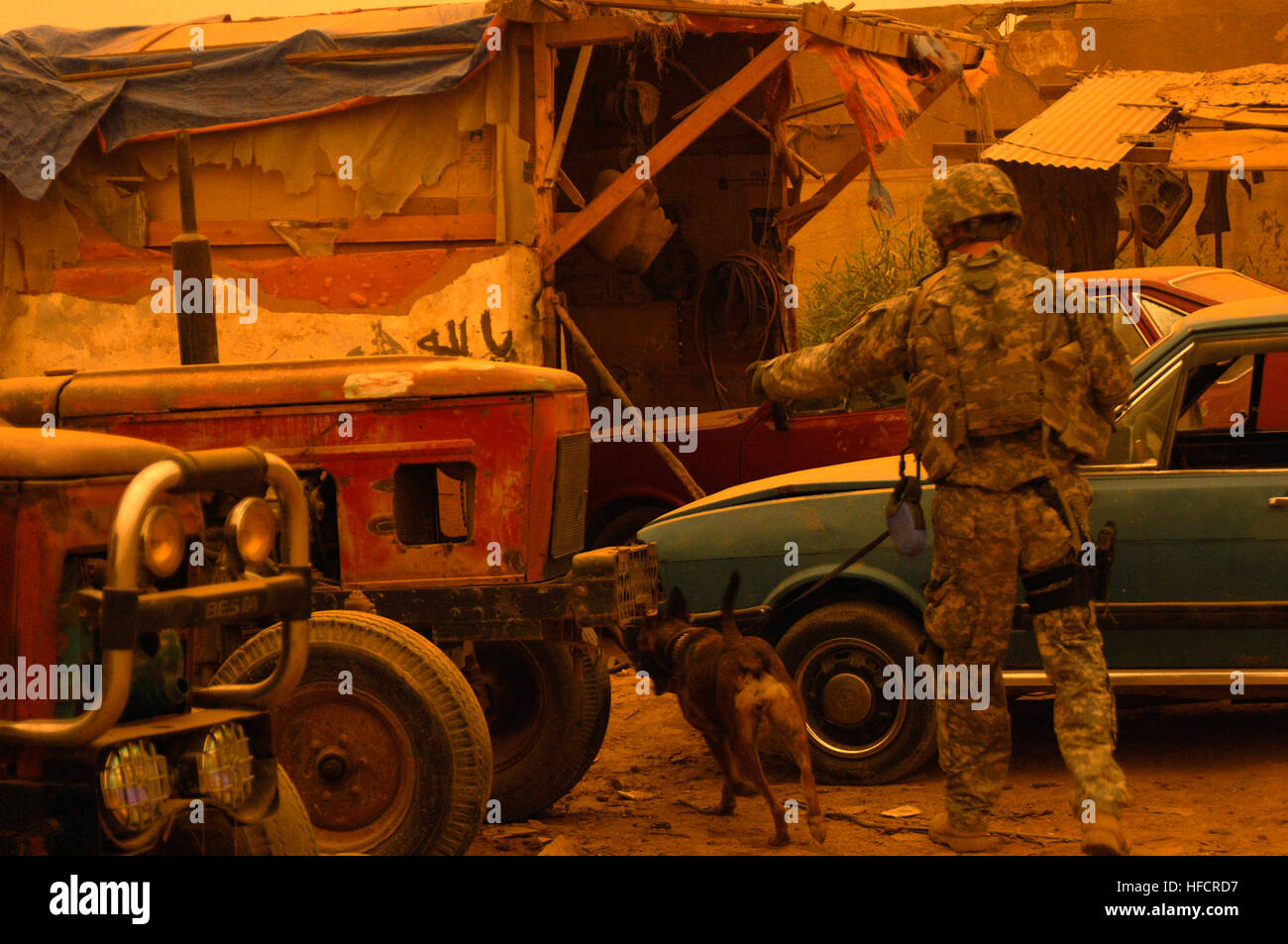 U.S. Soldier Sgt. Craig Walker and his working dog, Staff Sgt. Carla of ...