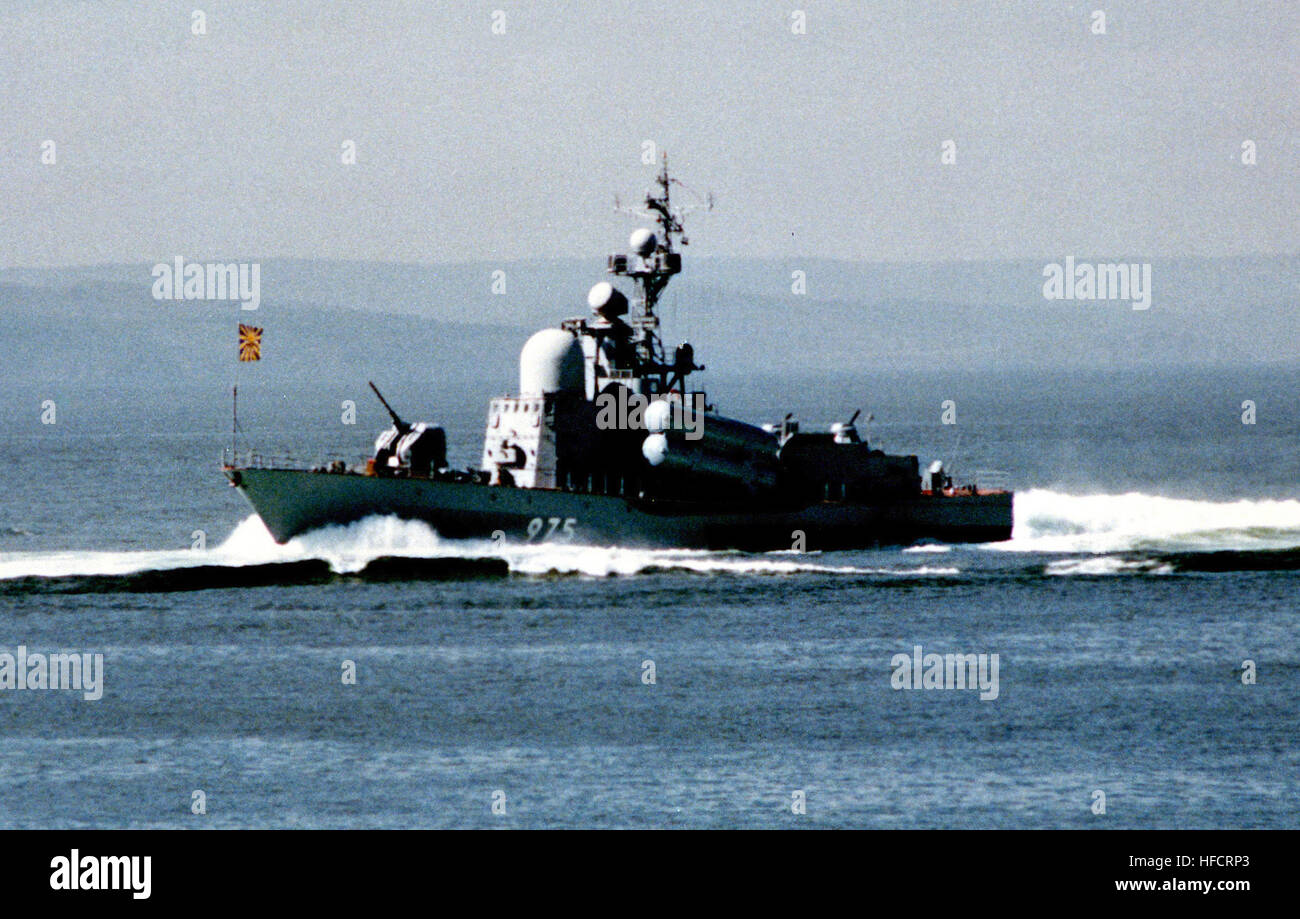 Tarantul hi-res stock photography and images - Alamy