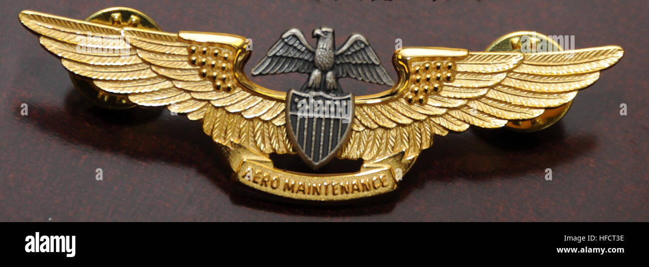 Professional Aviation Maintenance Officer insignia USN crop Stock Photo ...