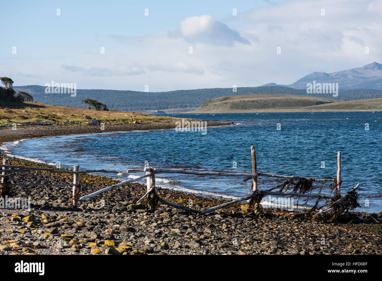 Patagonian sea hi-res stock photography and images - Alamy