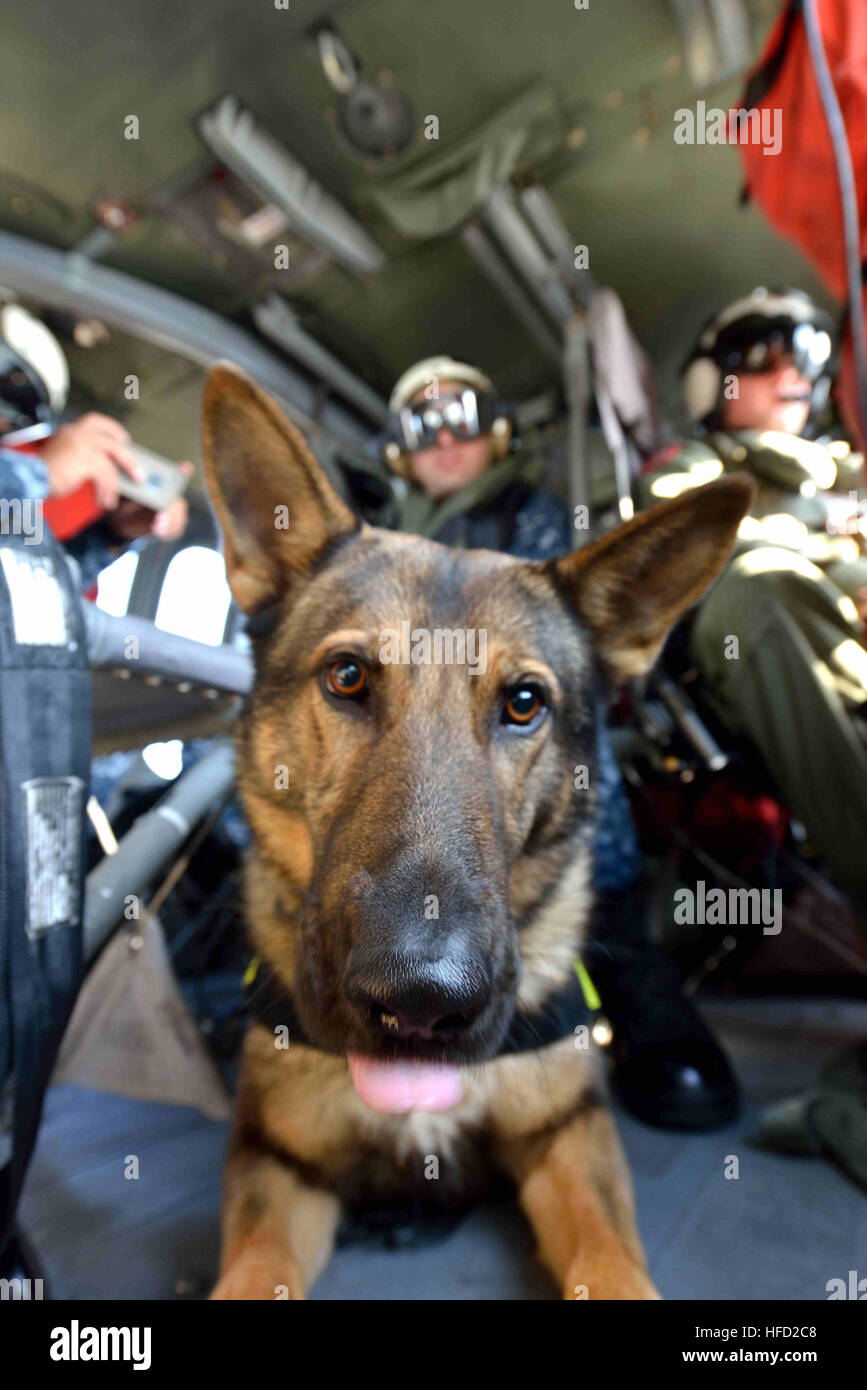 Military helicopters in japan hi-res stock photography and images - Alamy