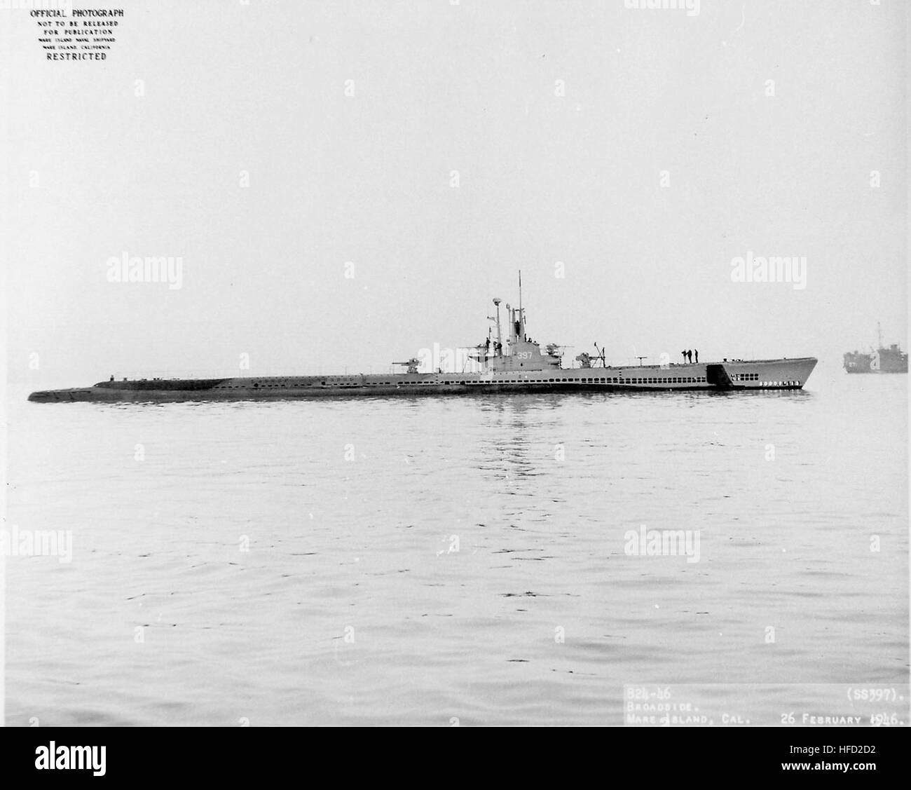 Scabbardfish Black and White Stock Photos & Images - Alamy