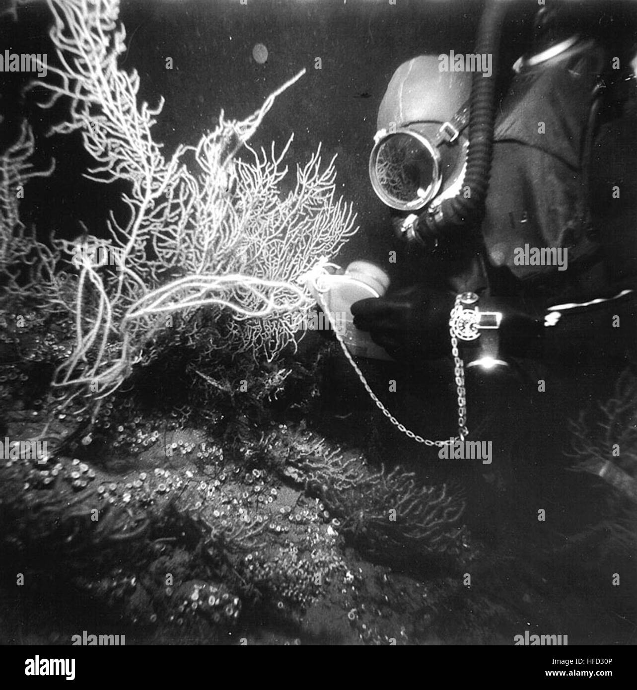 Sealab hi-res stock photography and images - Alamy