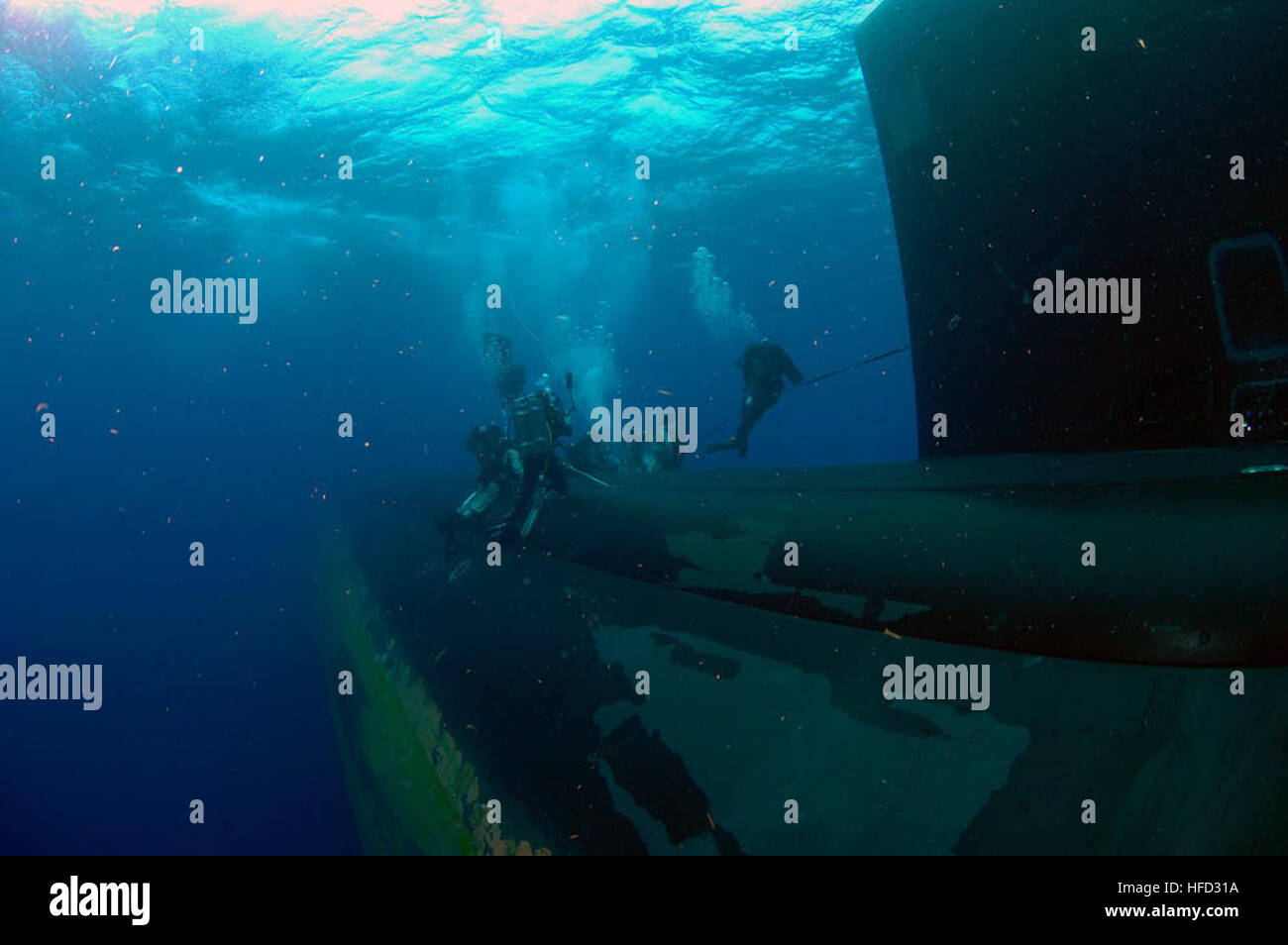 Seals training the the entering into a submarine Stock Photo - Alamy