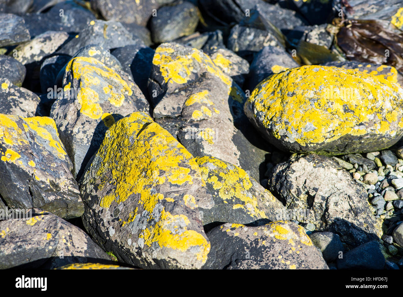 Patagonia rocks hi-res stock photography and images - Alamy