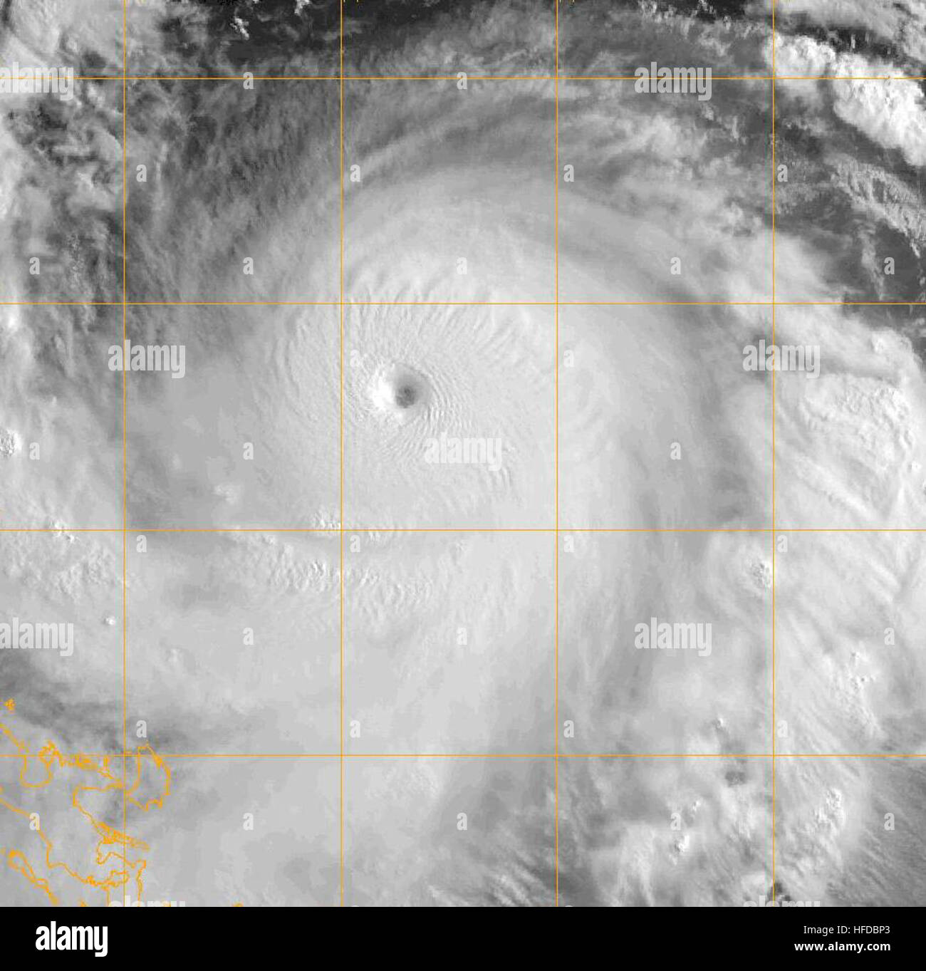 Sepat High Resolution Stock Photography and Images - Alamy