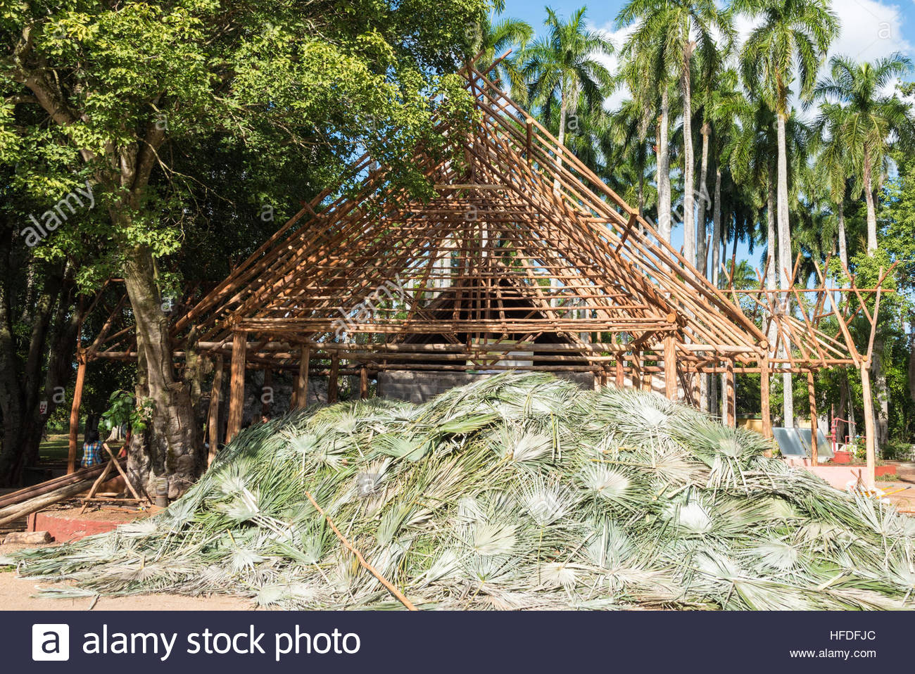 Palm Leaf Hut Stock Photos & Palm Leaf Hut Stock Images - Alamy