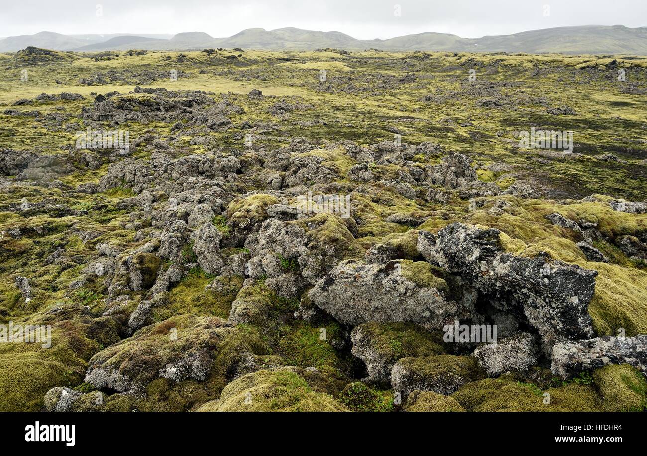 Lava terrain in Iceland. Rocky terrain in Iceland Stock Photo - Alamy