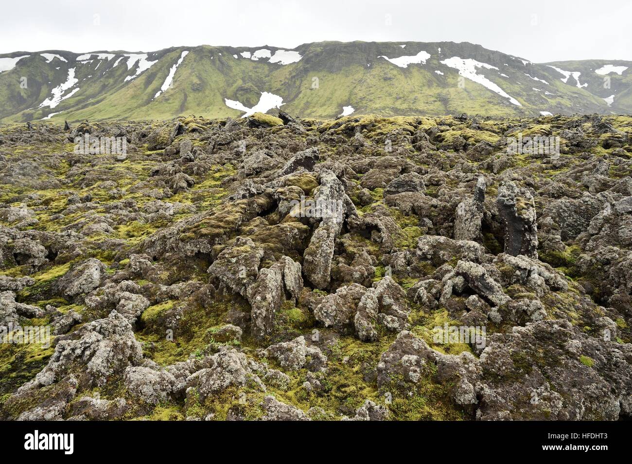 Lava terrain in Iceland. Rocky terrain in Iceland Stock Photo - Alamy