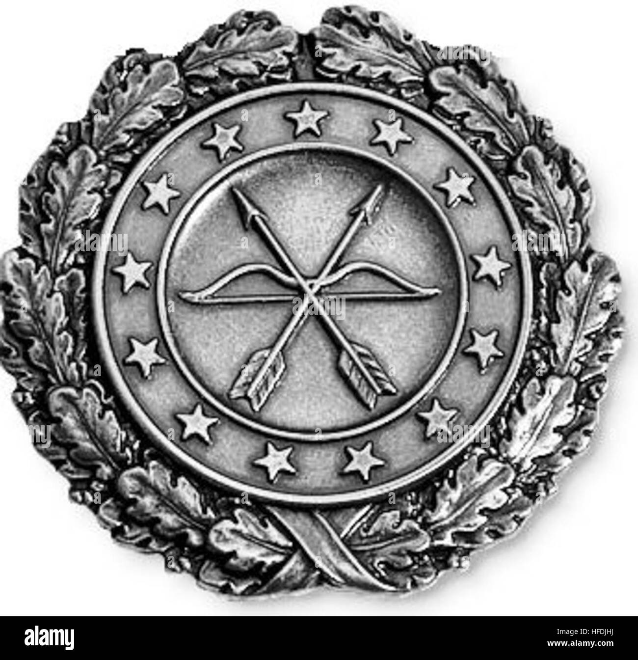 United States Army Excellence in Competition Badge Stock Photo - Alamy