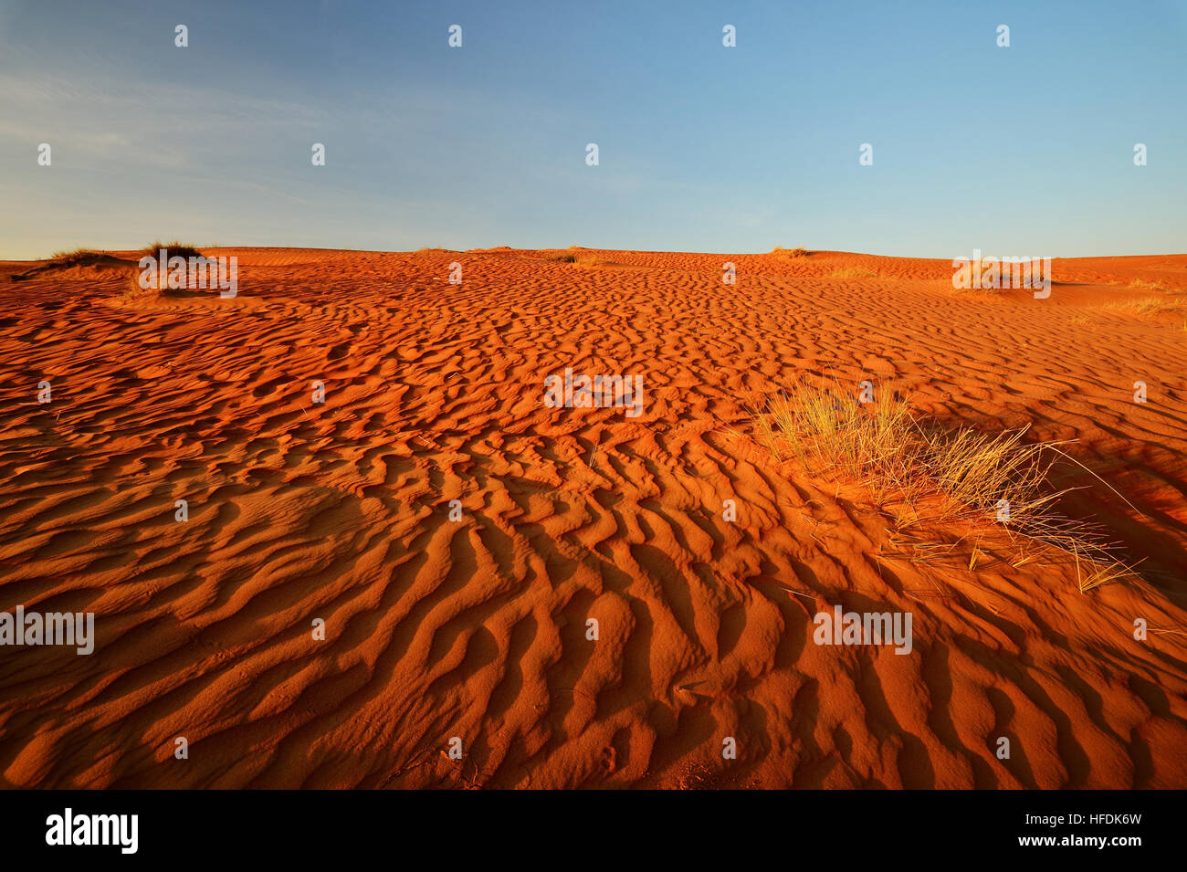 Sand desert landscape, Wahiba Sands, Oman Stock Photo - Alamy
