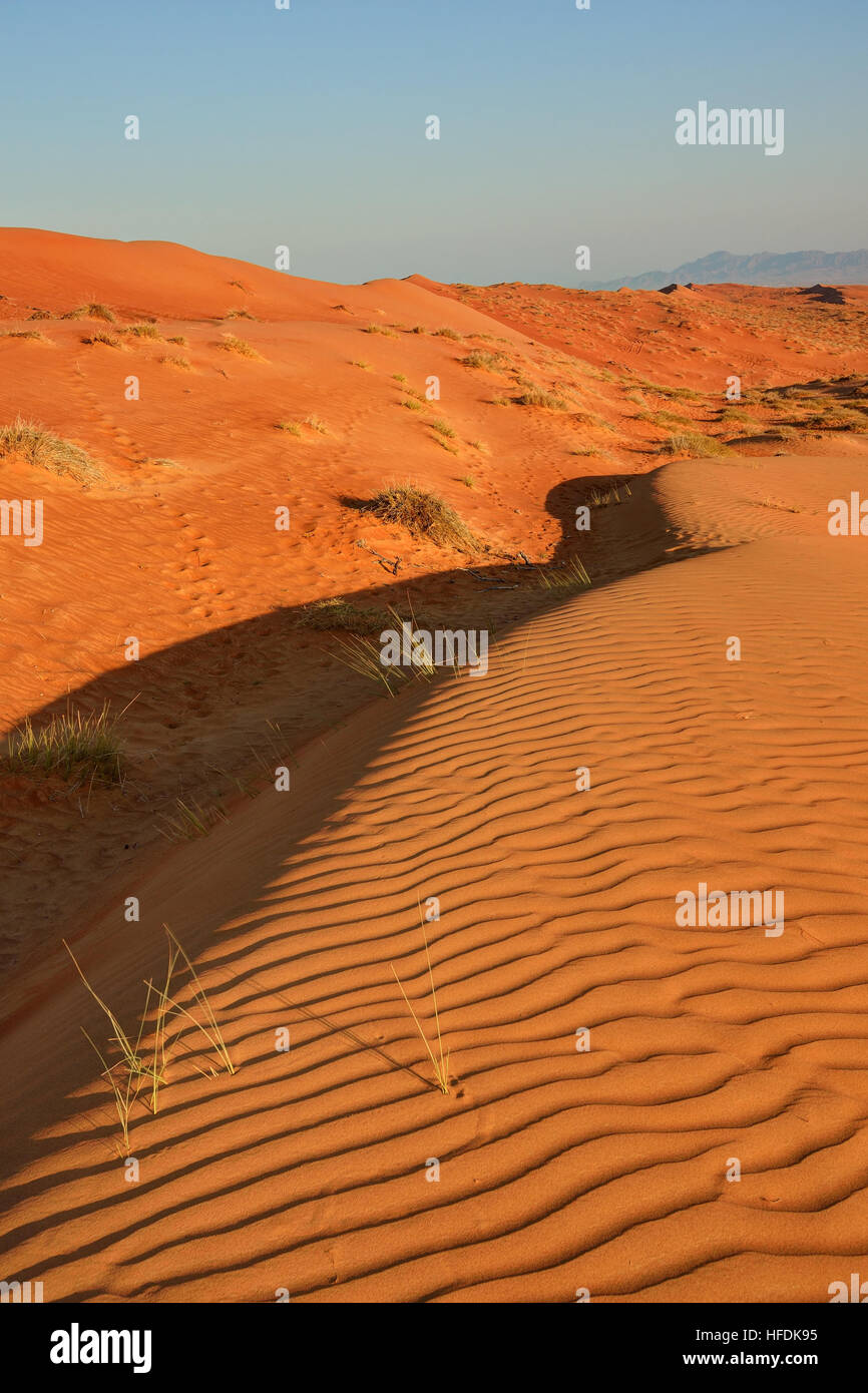 Oman pattern hi-res stock photography and images - Alamy