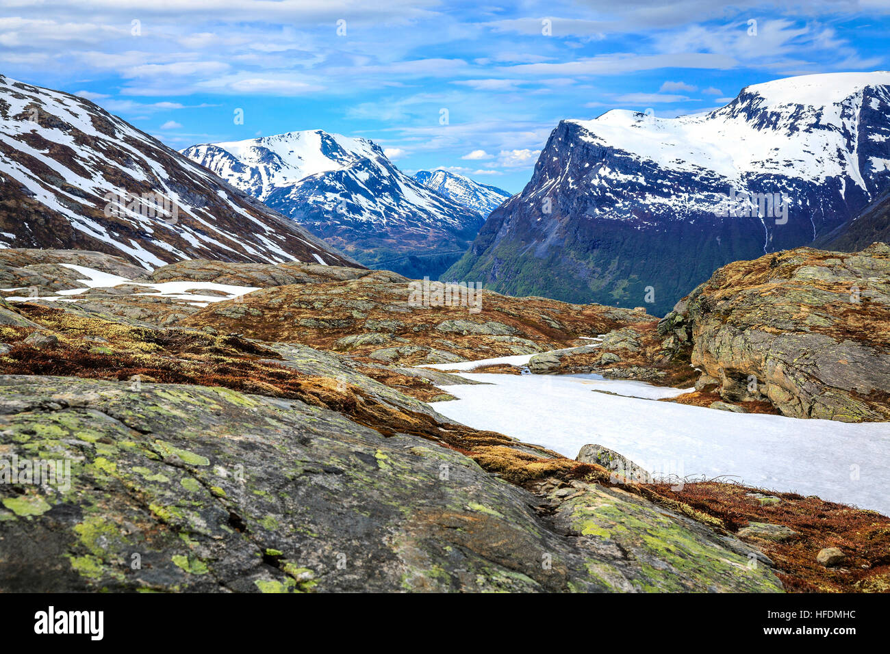 The alpine growth revealed now that the snow was melting. Near ...