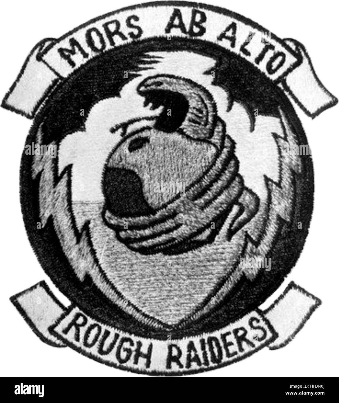 Attack Squadron 125 (US Navy) insignia 1957 Stock Photo - Alamy