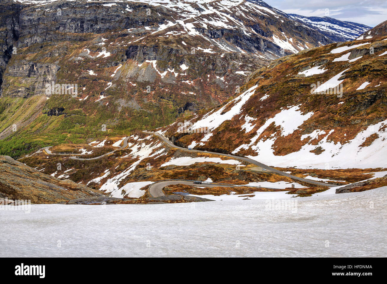 The alpine growth starting to be revealed now that the snow was melting ...