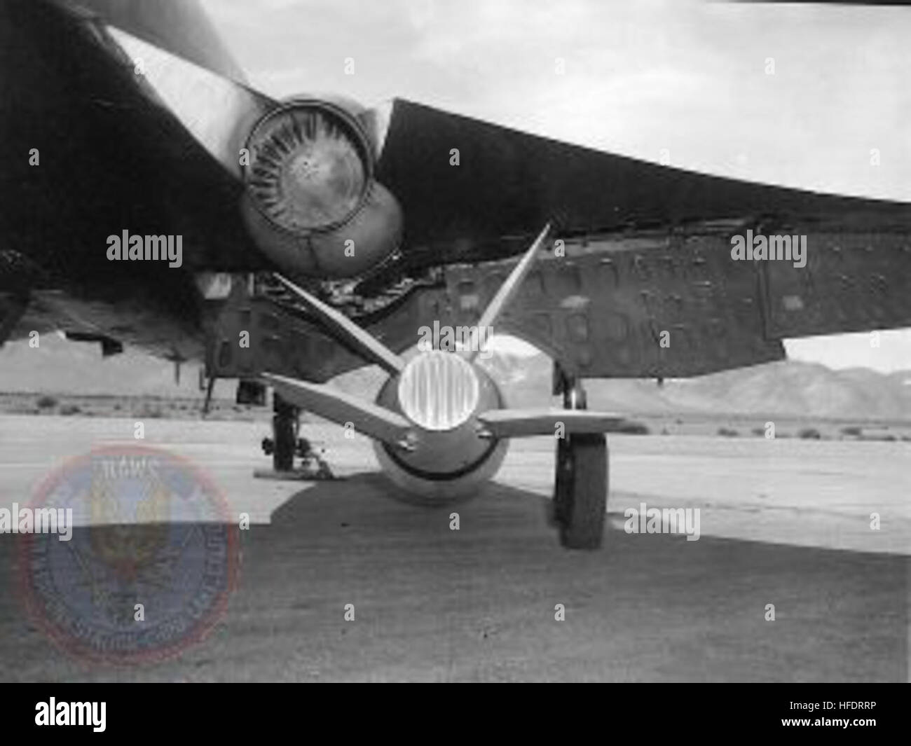 BOAR on F2H rear view Stock Photo - Alamy