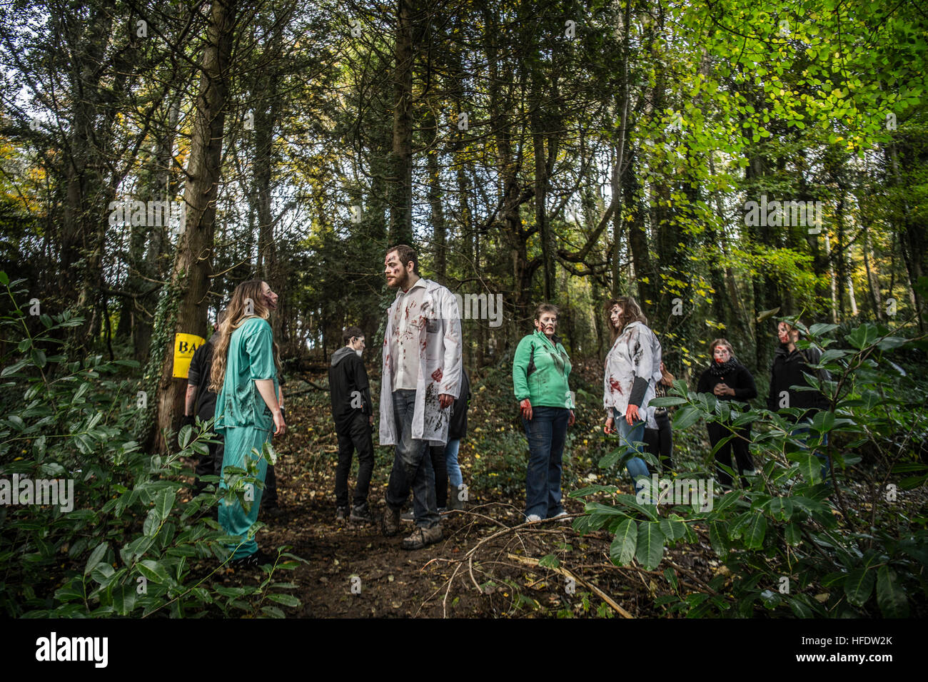 People dressed and made up as zombies in the woods in a 'The Walking ...
