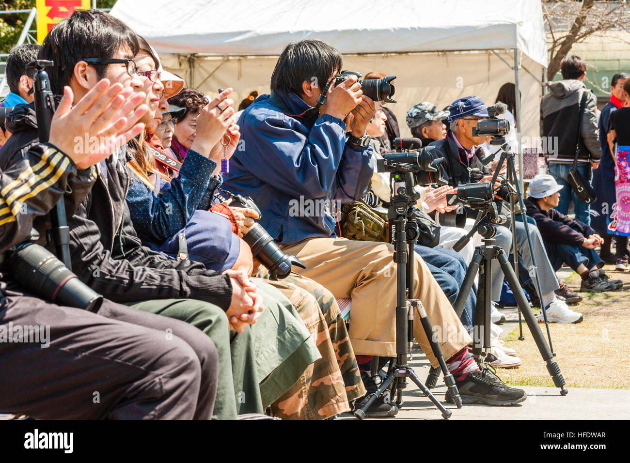 Japan, Kumamoto. Hinokuni Yosakoi Festival. Audience, front row ...