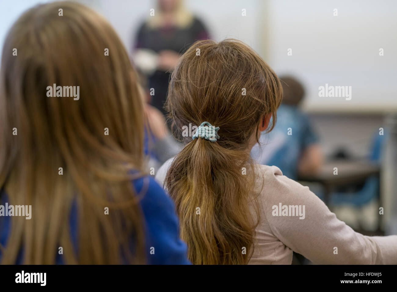 Children In Classroom From Behind High Resolution Stock Photography and ...