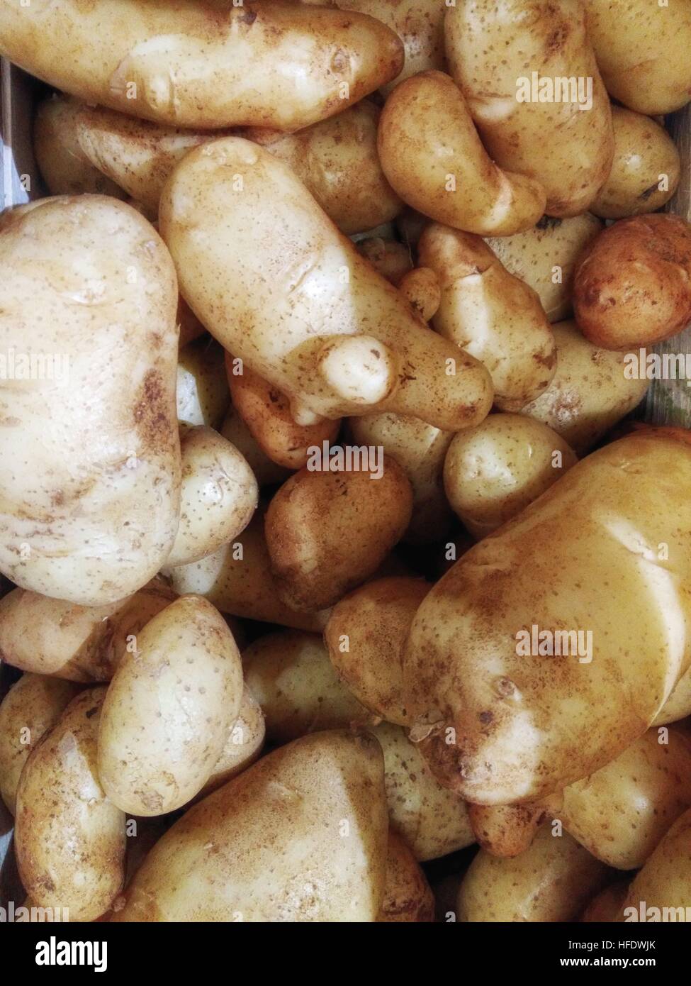 Fresh raw yukon gold potato hi-res stock photography and images - Alamy