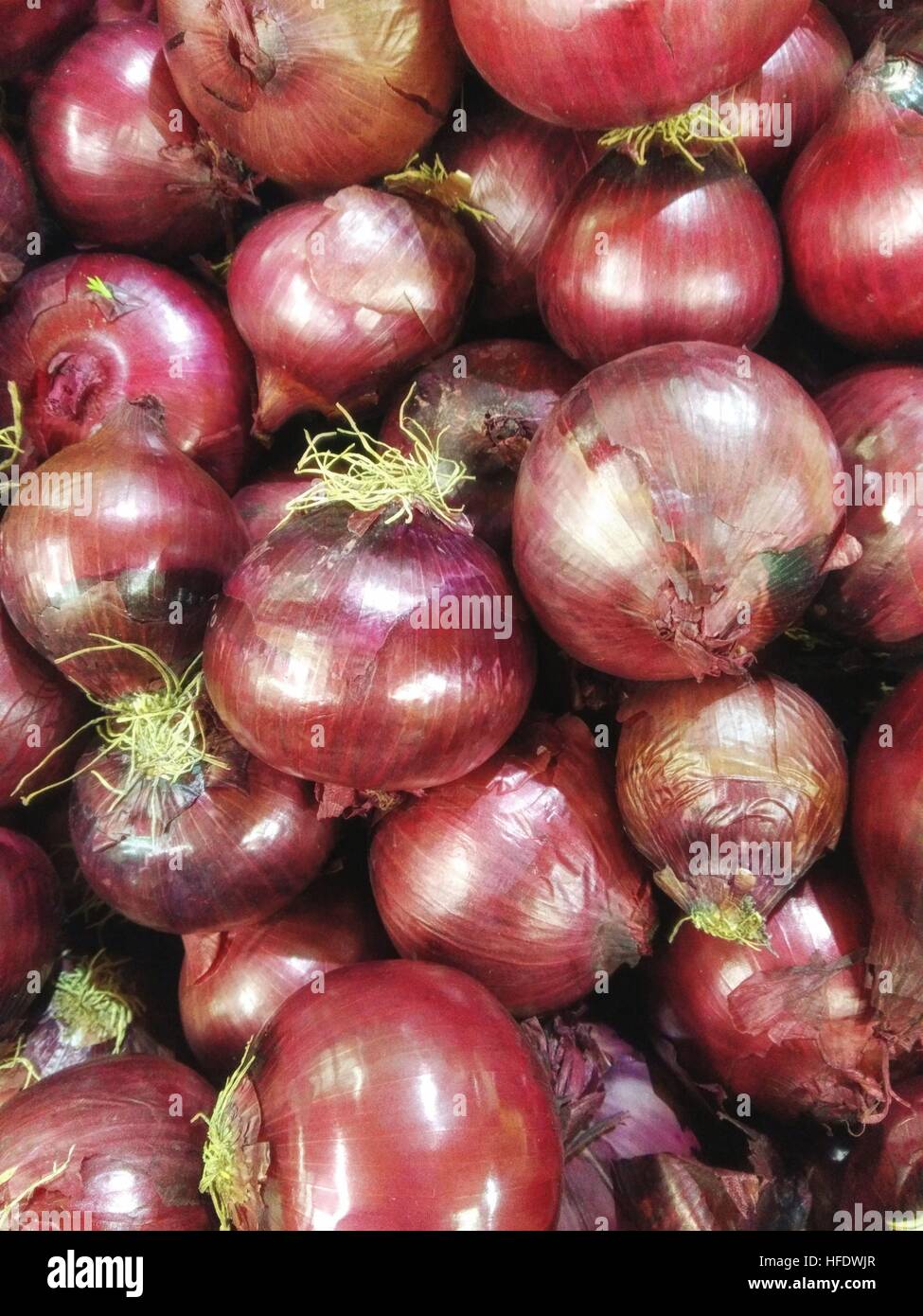 Texture of onions Stock Photo - Alamy