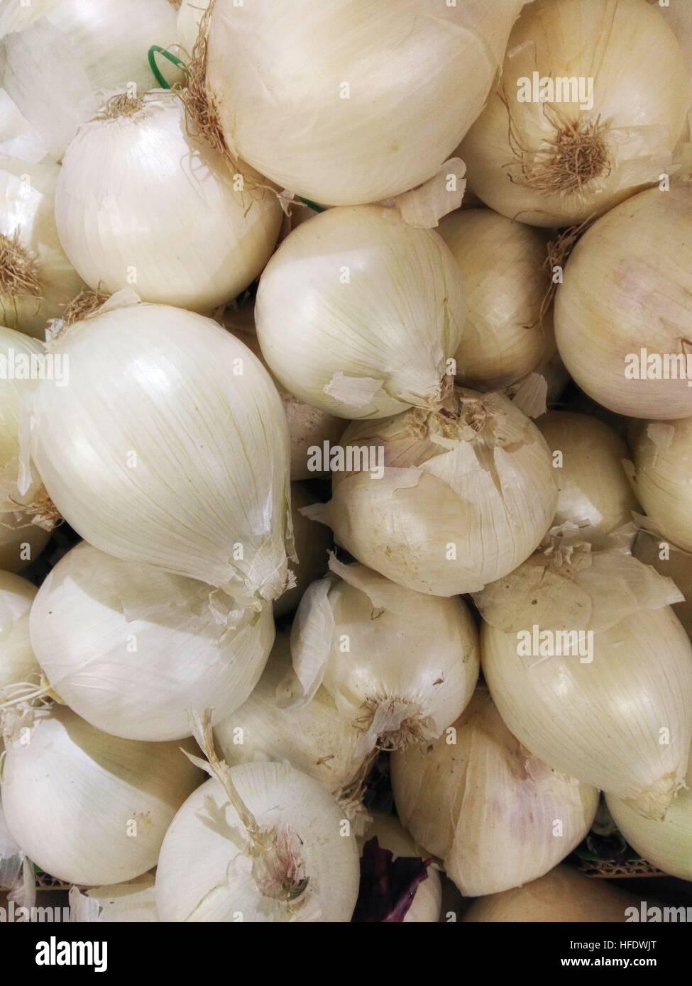 Texture of onions Stock Photo - Alamy