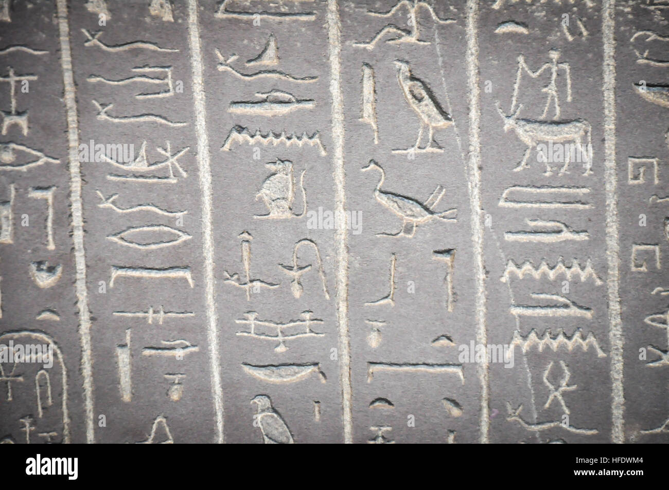 Egyptian hieroglyphs background Stock Photo - Alamy