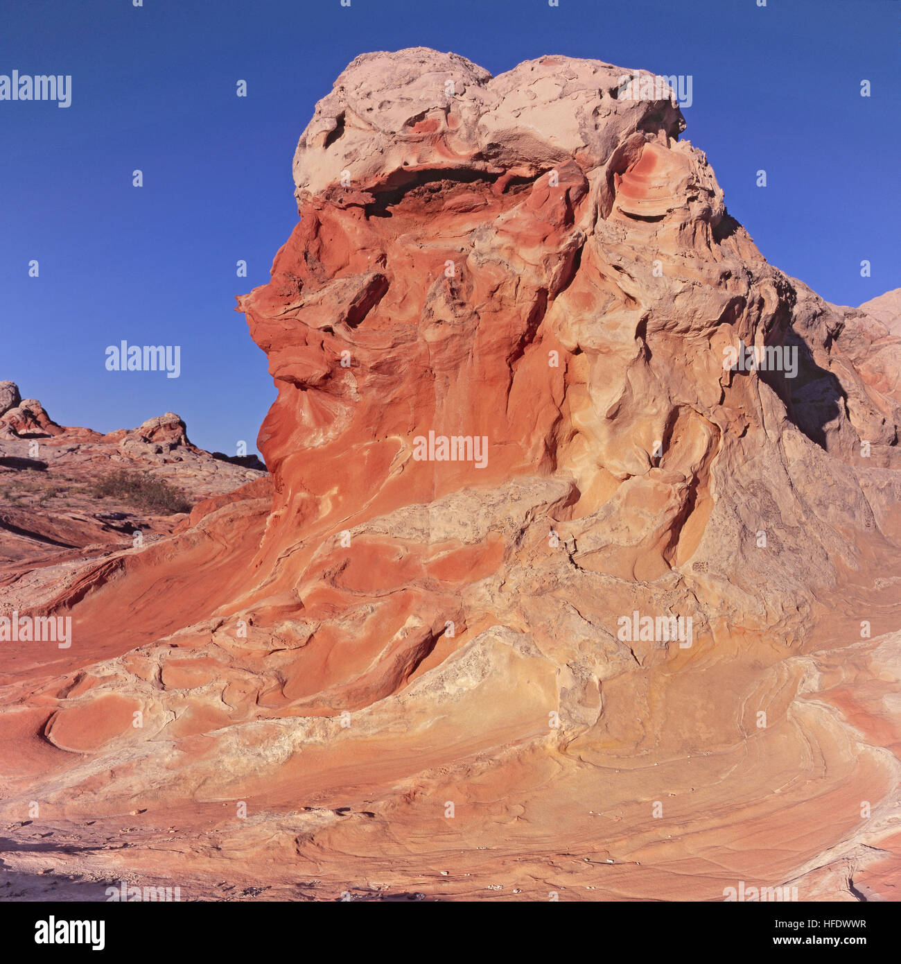 Donald rock hi-res stock photography and images - Alamy