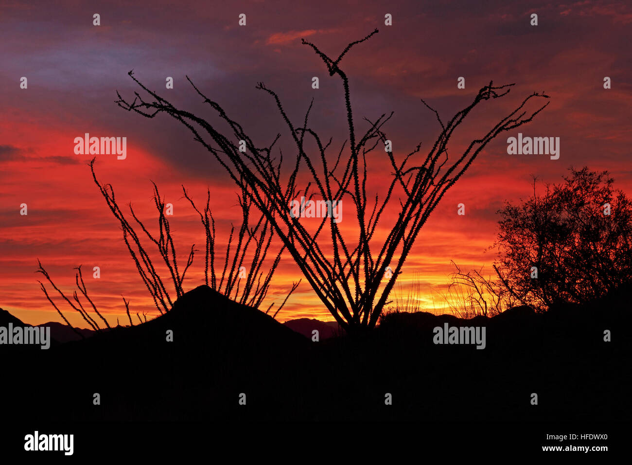 Rico rio arizona hi-res stock photography and images - Alamy