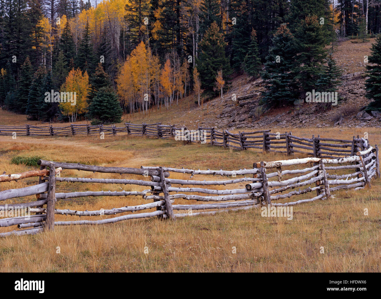 Daniel corral hi-res stock photography and images - Alamy