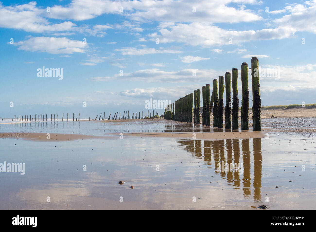 Wooden sea defense poles on a beach Stock Photo - Alamy