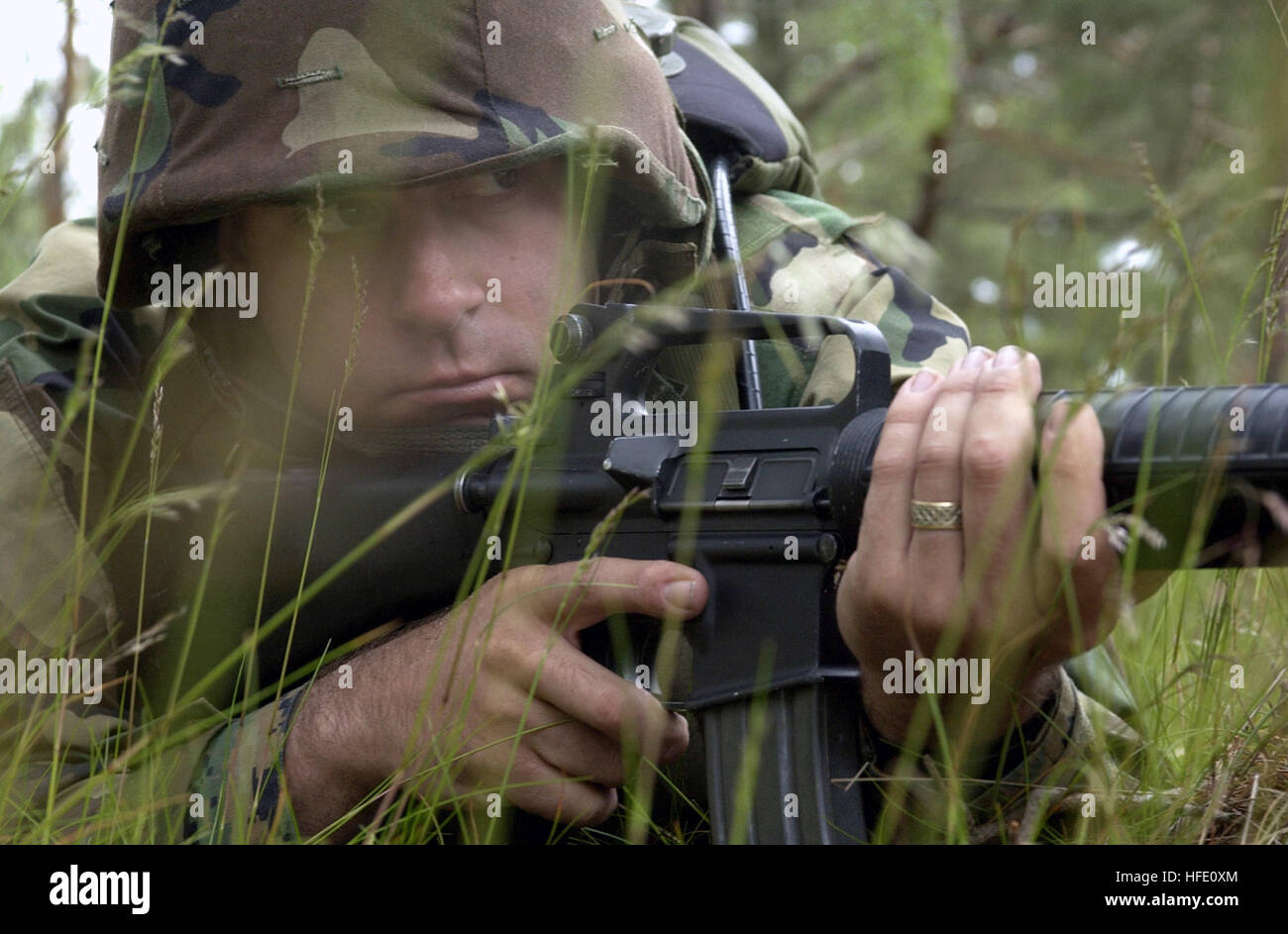Nato Pfp Stock Photos & Nato Pfp Stock Images - Alamy