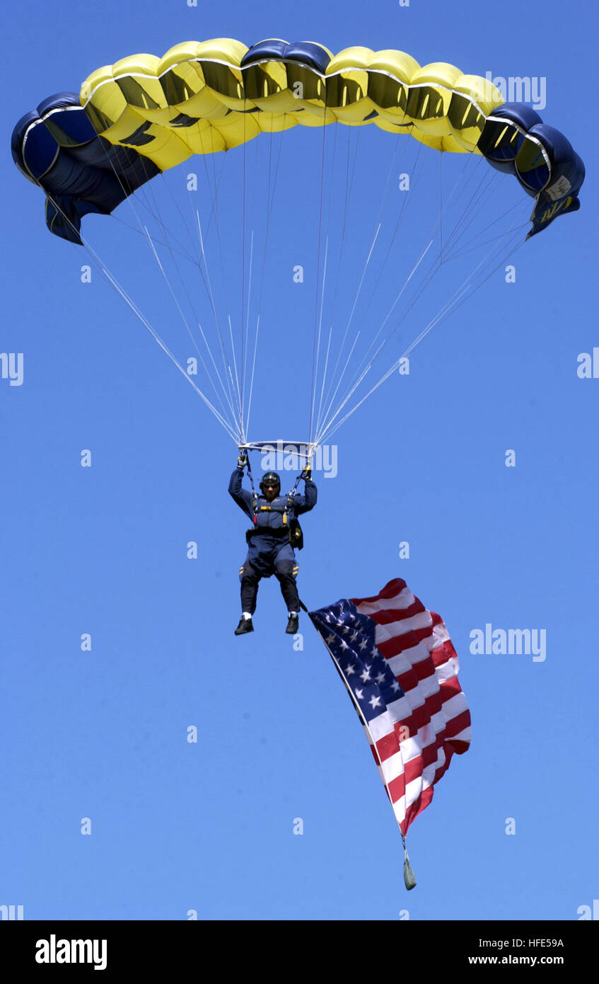 A member of the U.S. Navy Parachute Team, known as the Leap Frogs ...