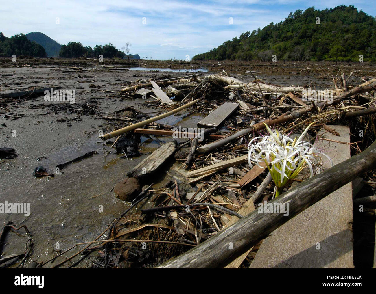 Indonesia indigenous people conflict hi-res stock photography and ...