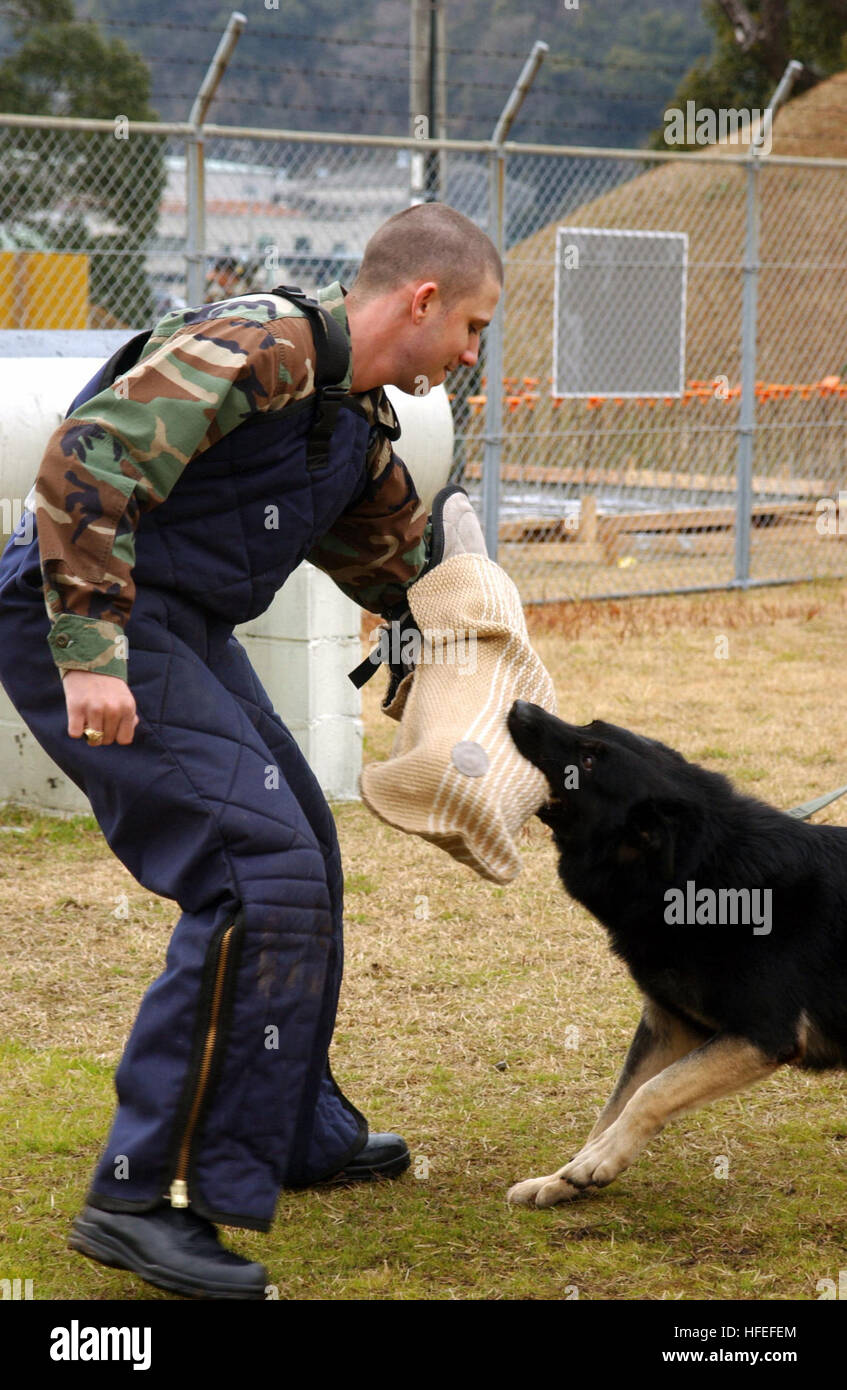 030205-N-8937A-001 Fleet Activities Sasebo, Japan (Feb. 5, 2003 ...