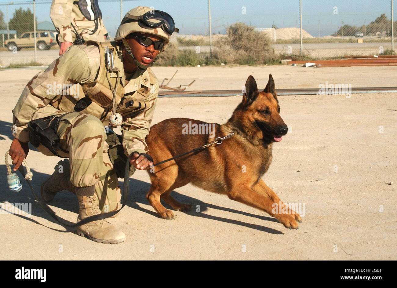 His military working dog patriot hi-res stock photography and images ...