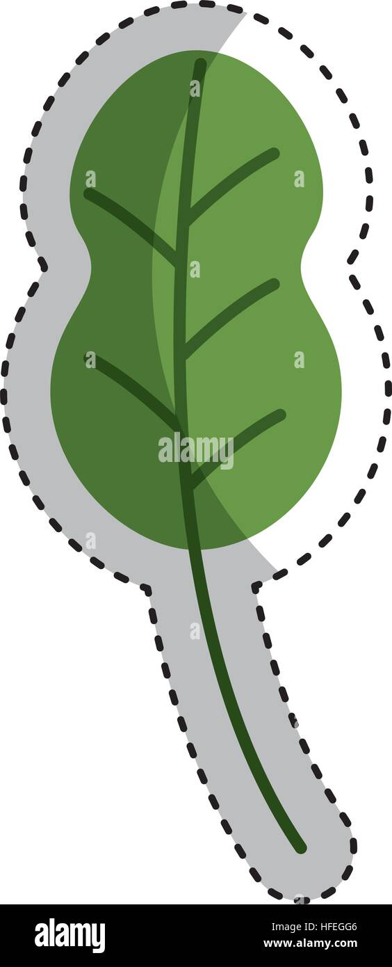 leafs plant vegetarian food vector illustration design Stock Vector ...