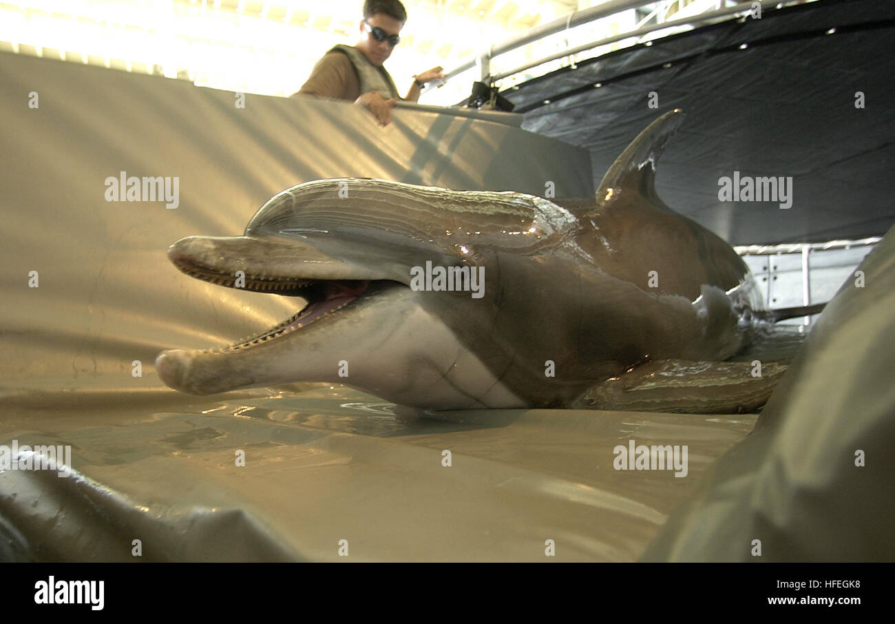 Explosive ordnance disposal mobile unit three eodmu 3 hi-res stock ...