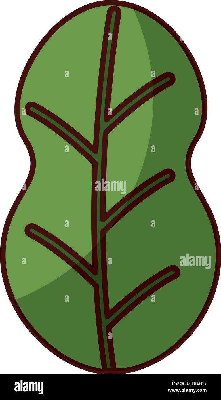 leafs plant vegetarian food vector illustration design Stock Vector ...
