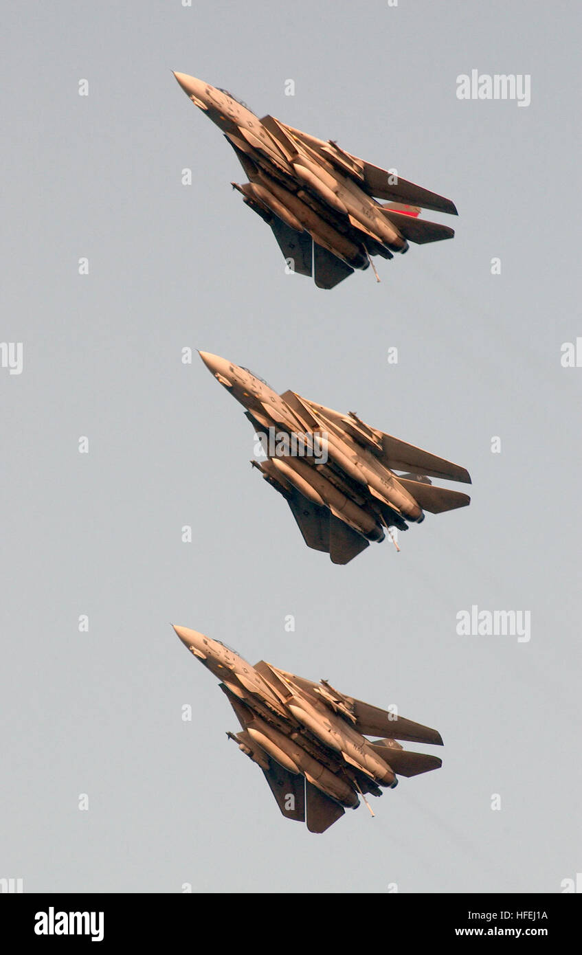 030403-N-1810F-003 The Arabian Gulf (Apr. 3, 2003) -- F-14A Tomcats fly ...