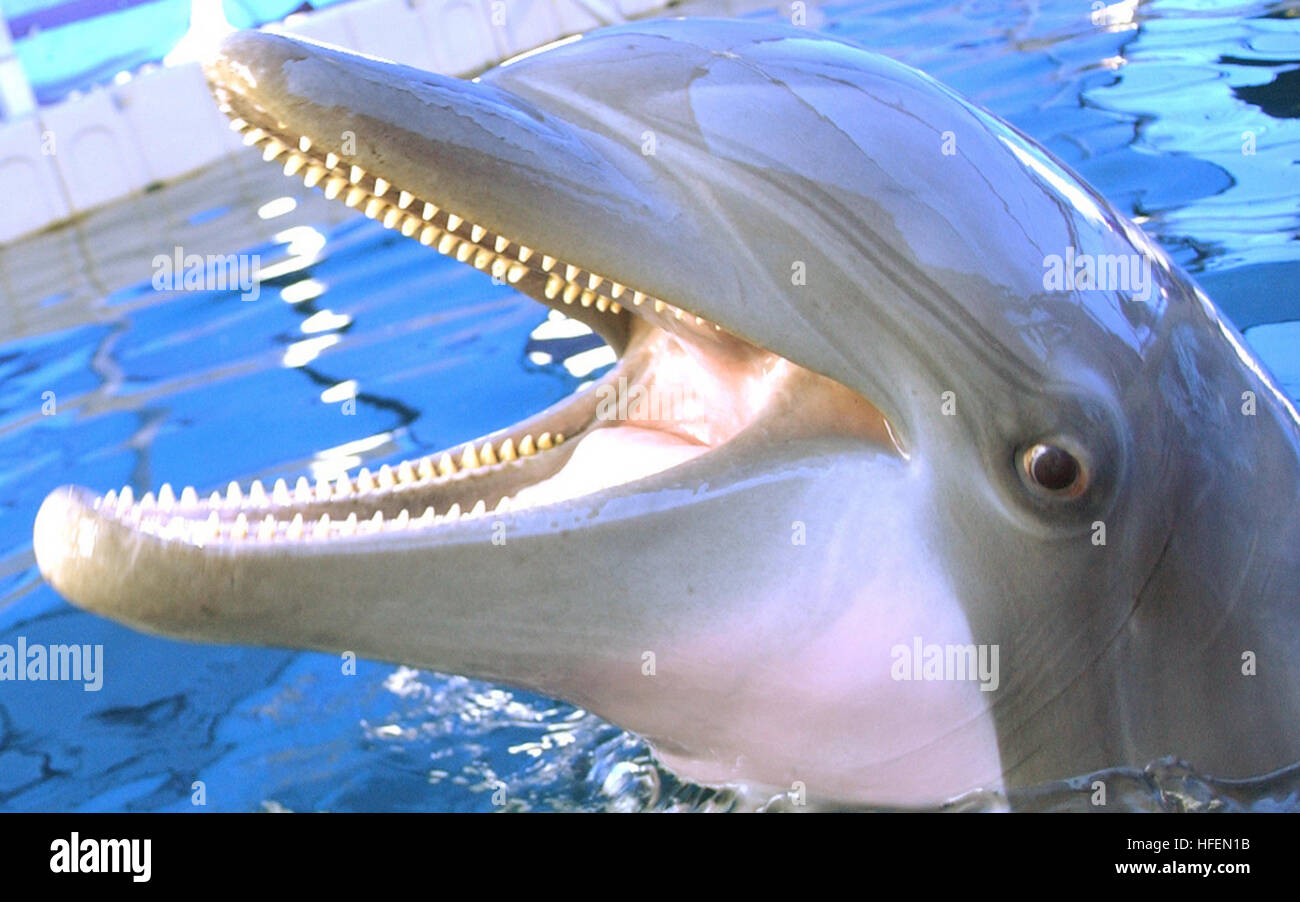 Threat to naval ships hi-res stock photography and images - Alamy