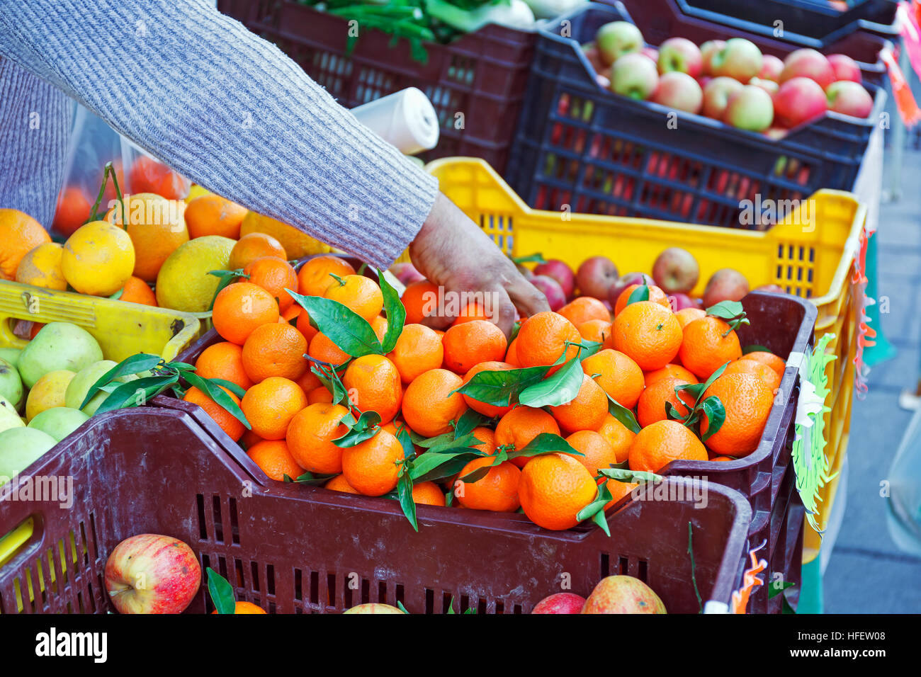 Fruit overflowing boxes on the counter of the local market, tangerines ...