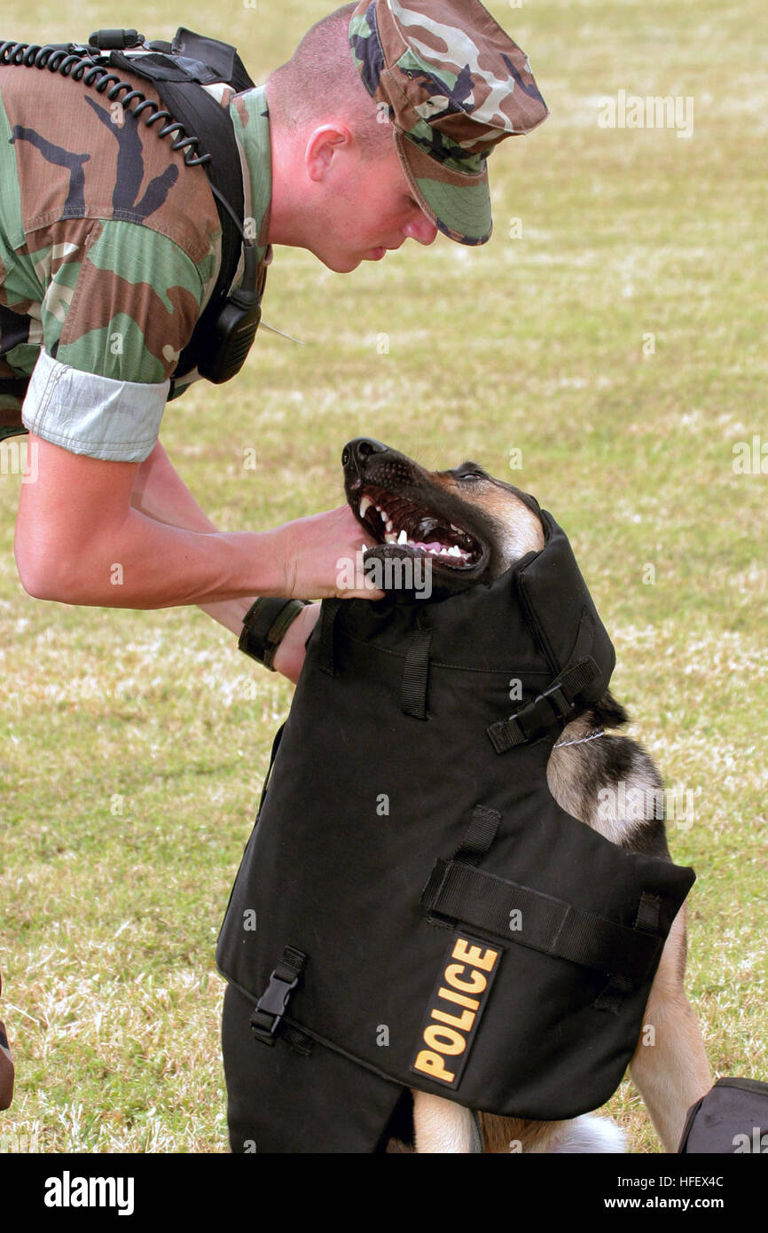 William shepard hi-res stock photography and images - Alamy