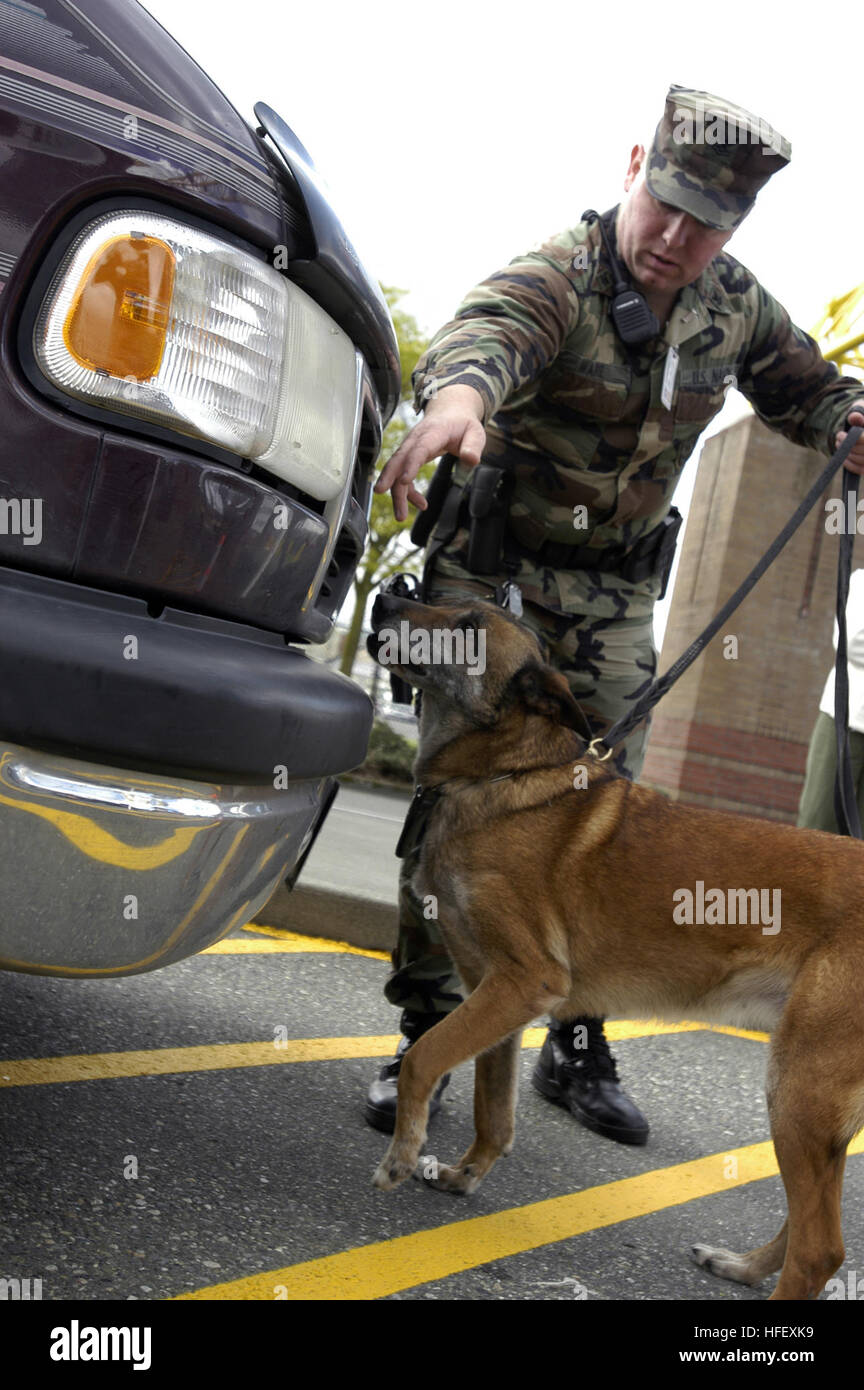 Everett military working dog hi-res stock photography and images - Alamy