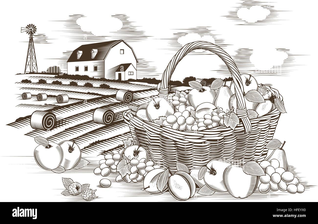 Apple fruit cut cutout Stock Vector Images - Alamy