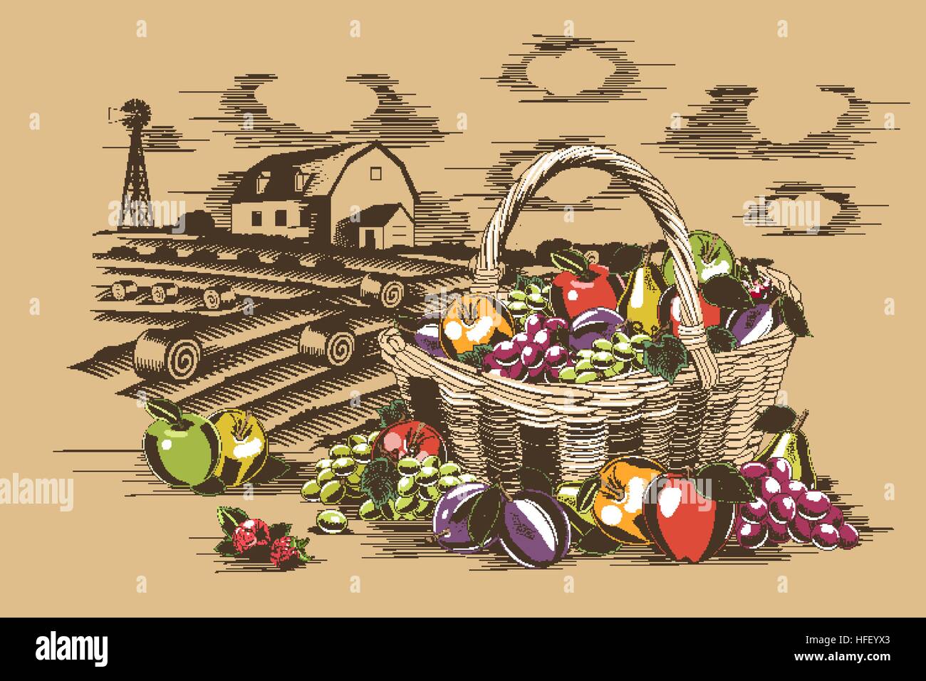 Basket berry harvest Stock Vector Images - Alamy