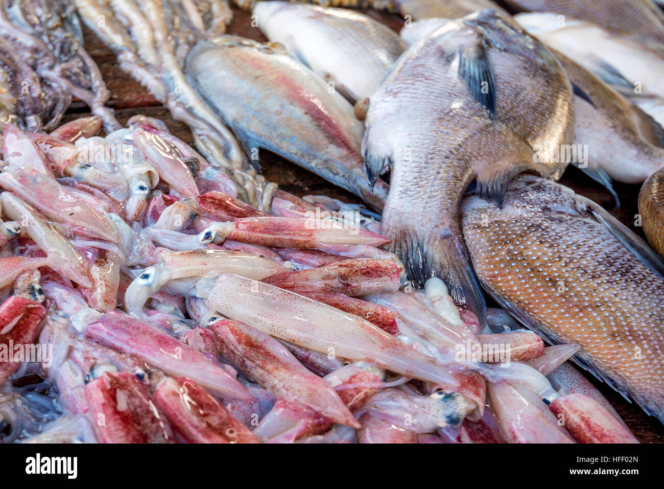 Fresh raw sea fish and sea food market in Asia near fishermen village ...