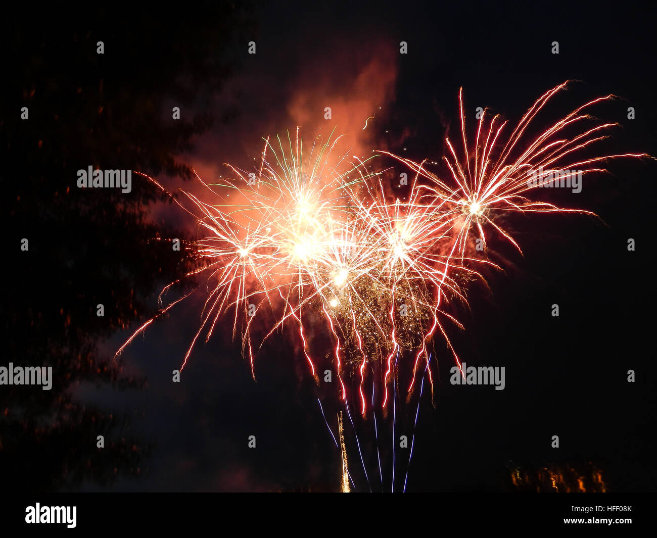 Colorful shiny firework at dark night holiday Stock Photo - Alamy