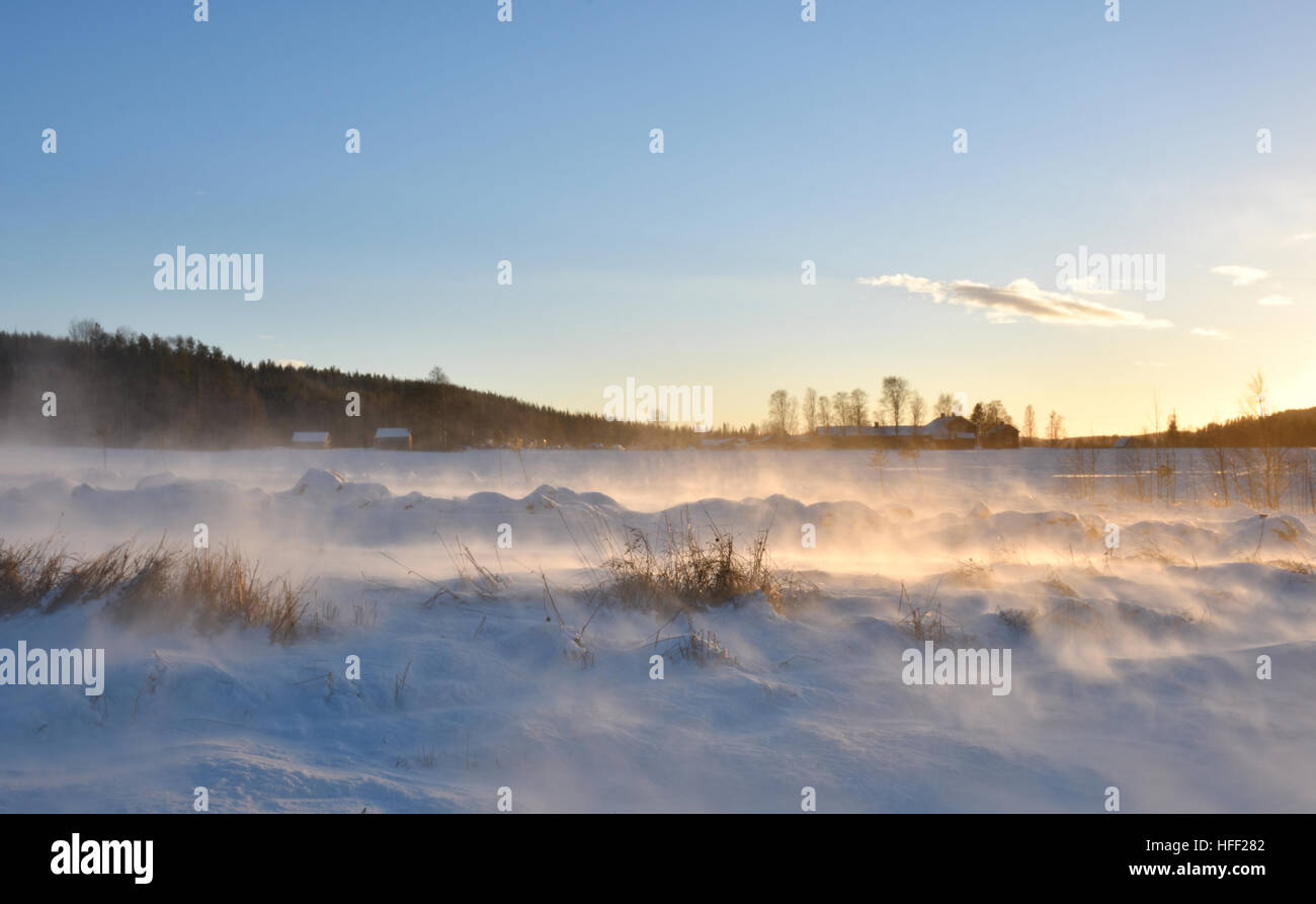 Midwinter day with stormy weather and snow over a meadow in the North ...