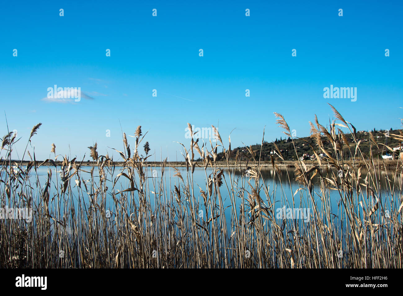 Secovlje salt pans hi-res stock photography and images - Alamy